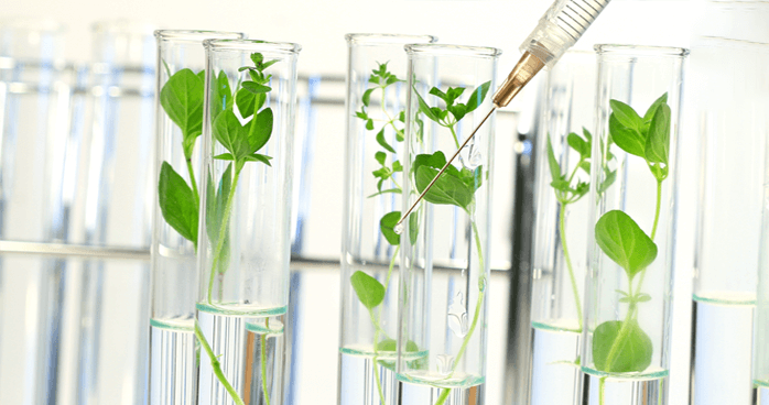 Ecotoxicology Studies - Superlab CRO －health food, medical device ...